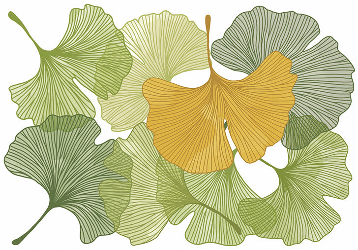 Greetings card - Gingko leaves – LIGHTMOTIF EDITIONS